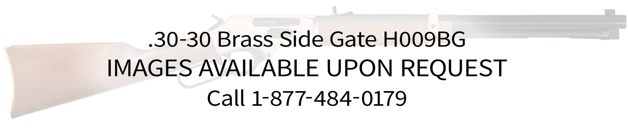 Wisconsin State Pride Engraved Rifle | Historical Armory